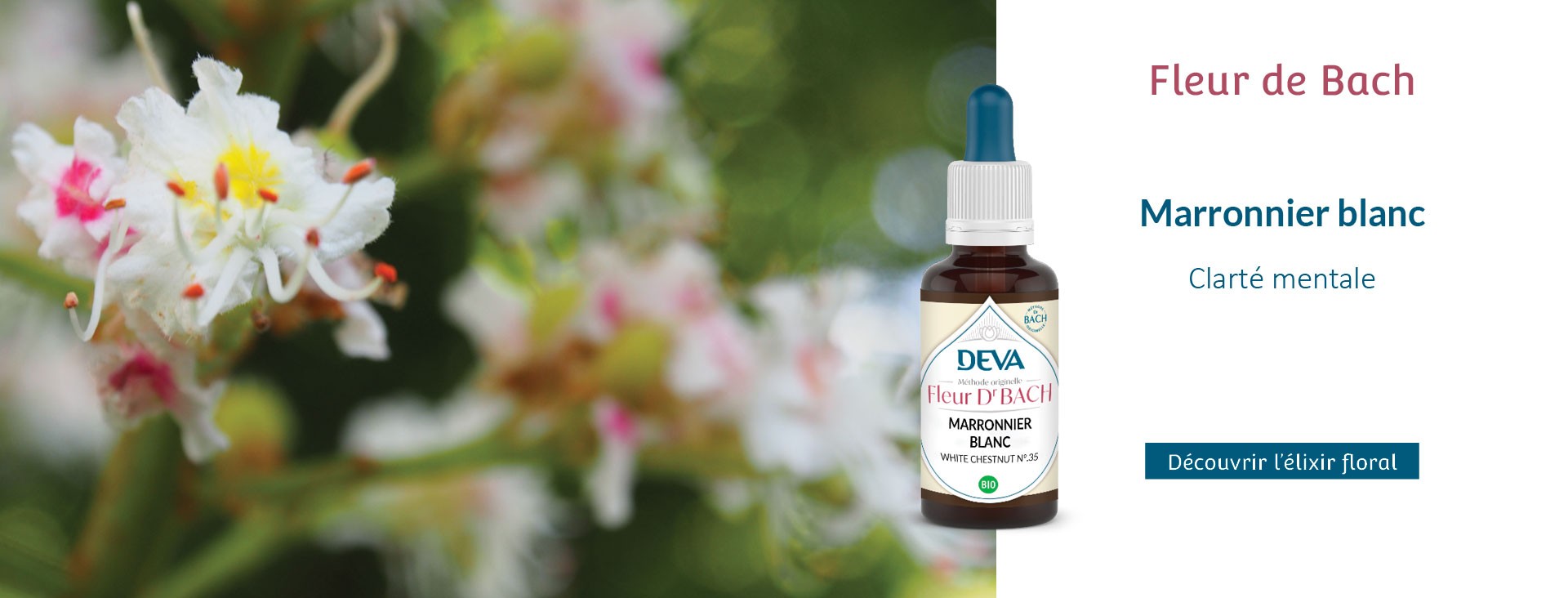 Laboratoire DEVA : spécialiste des fleurs de Bach et élixirs floraux bio