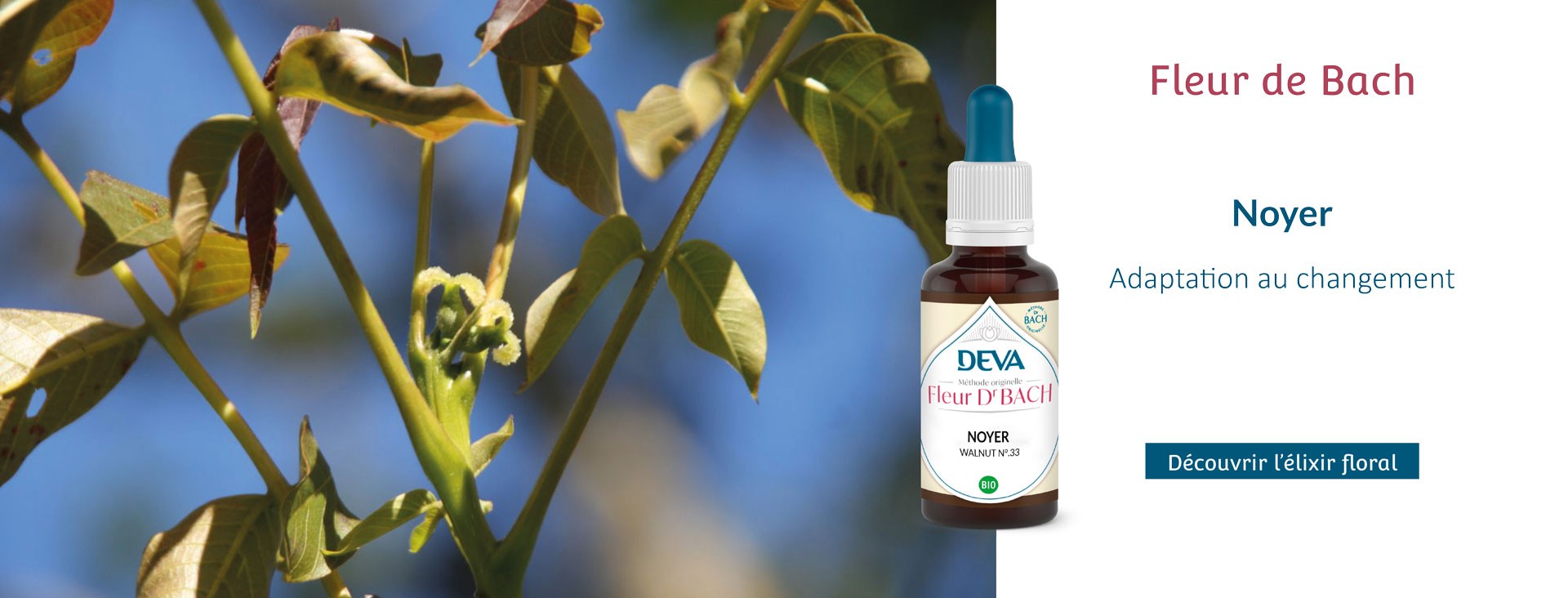 Laboratoire DEVA : spécialiste des fleurs de Bach et élixirs floraux bio